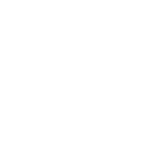 ACERTUS - Relentless Drive to Deliver